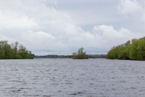 Lakes - Hayward Lakes